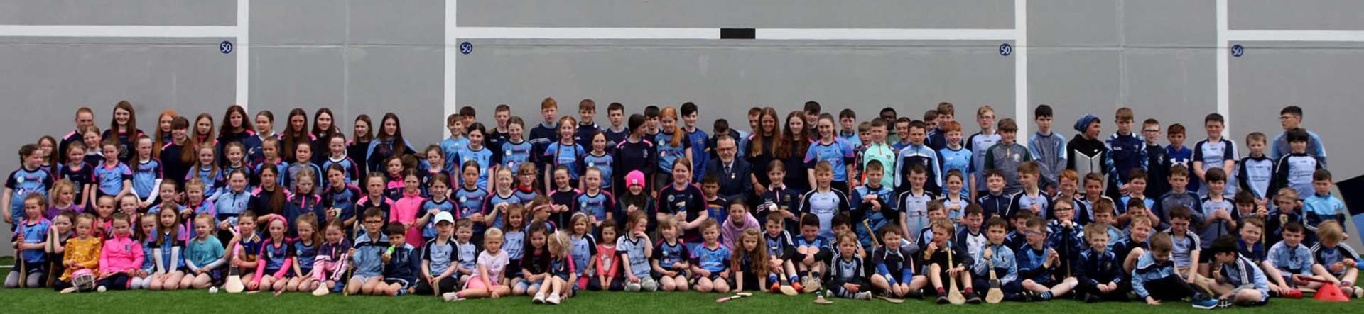 Gallery: Nenagh Éire Óg opens new hurling wall and astro turf facility ...