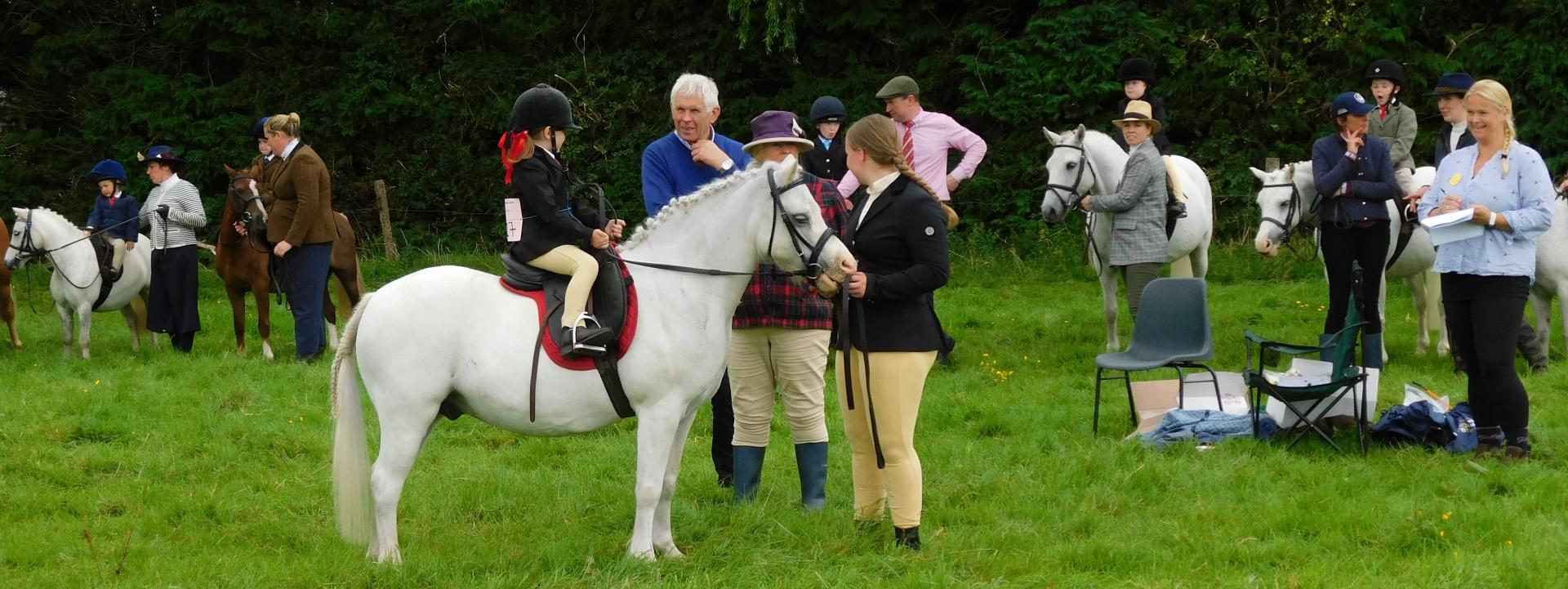 IN PICTURES: Canon Hayes keeps the sun shining for Bansha's 65th Show ...
