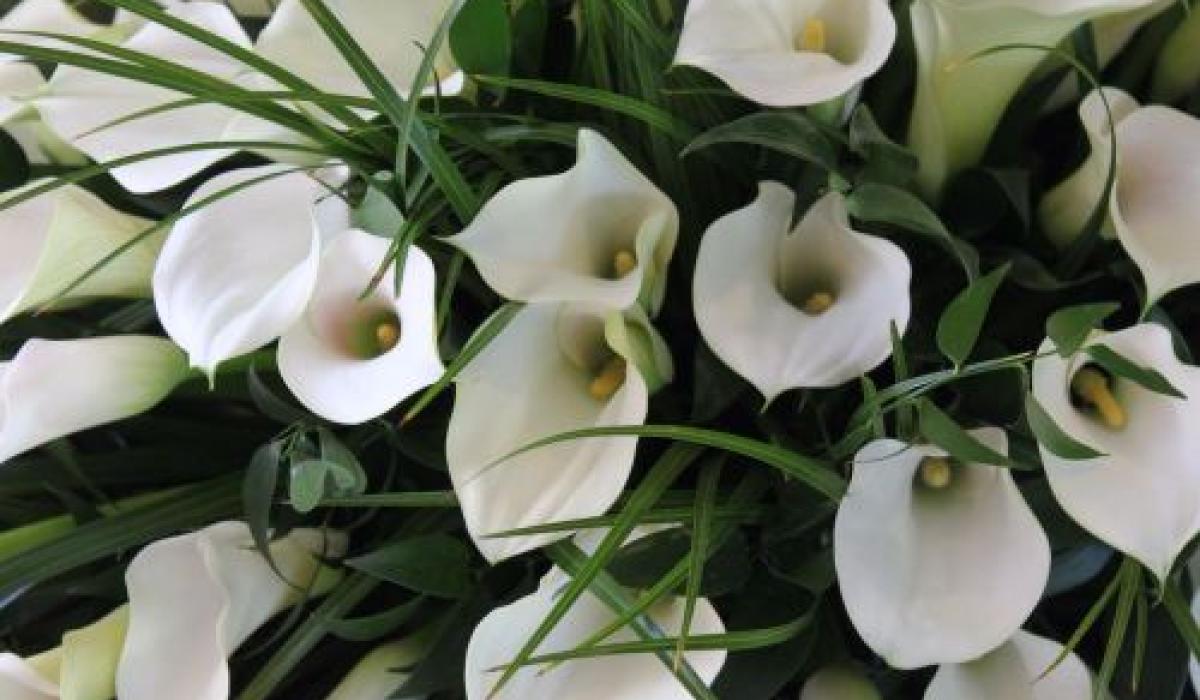 Late Christy Doherty had been a champion ploughman - Tipperary Live