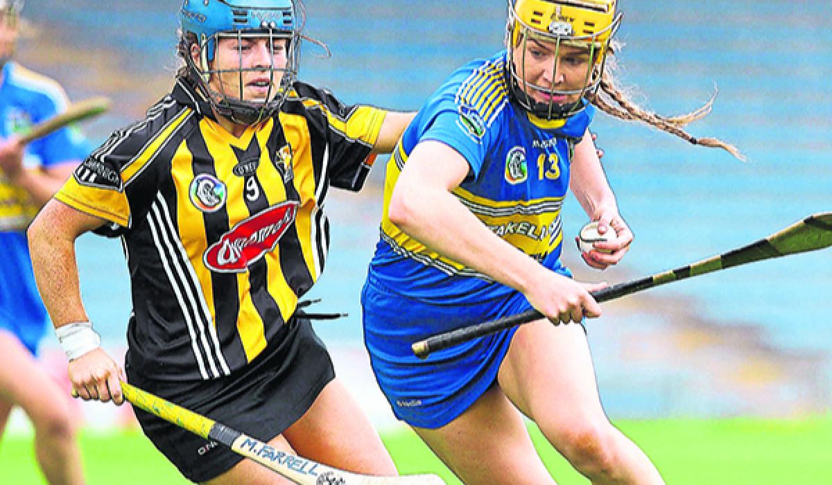 Tipp camogie set to line out as curtain raiser for Limerick vs ...