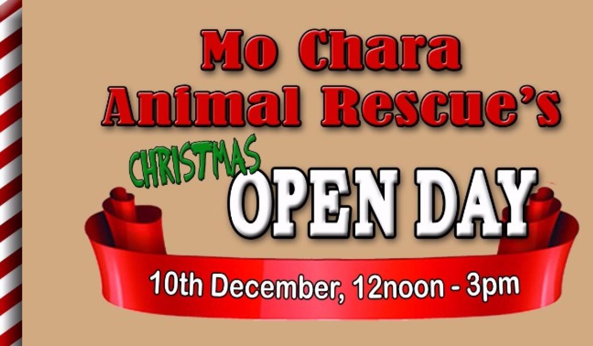 Open Day at Mo Chara Animal Rescue - Tipperary Live
