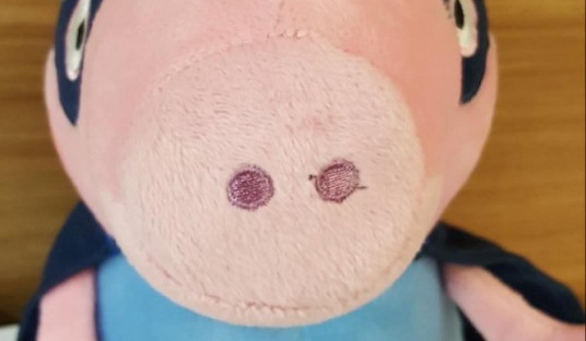 Is someone in Tipperary missing George from Peppa Pig? - Tipperary Live