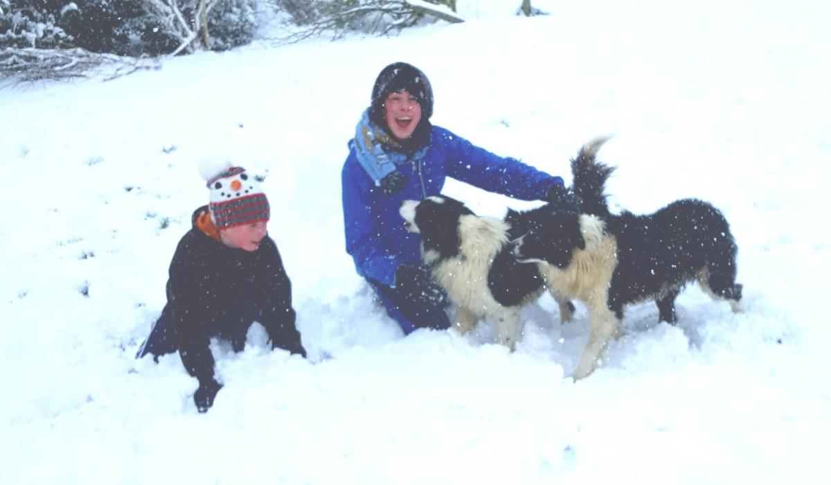Snow in Tipperary - Your photos! Part 6 - Photo 1 of 31 - Tipperary Live