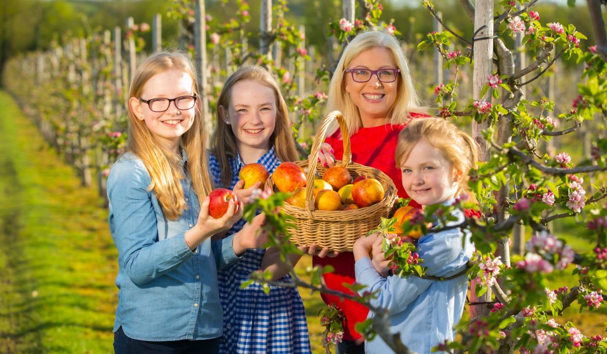 Tipperary's Apple Farm to hold a guided walk this weekend - Tipperary Live