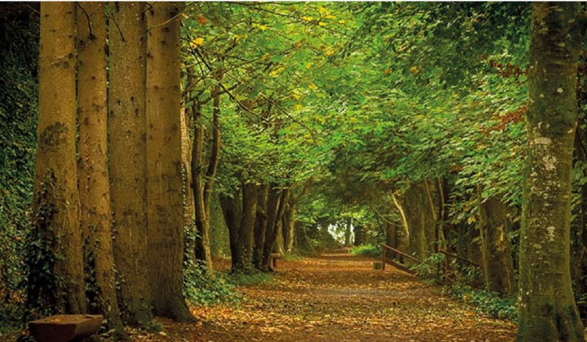 €85,500 for Tipperary tourism and recreational facilities welcomed ...