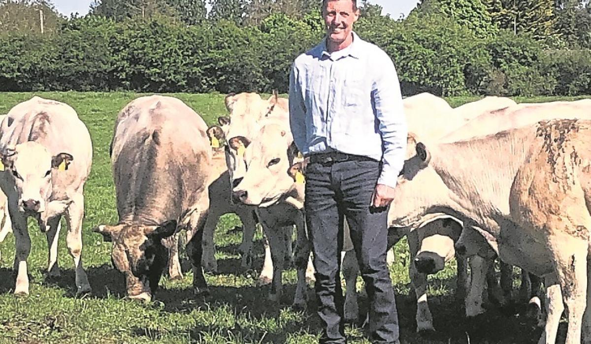 Tipperary beef producer John Commins to appear on this week's Ear to ...