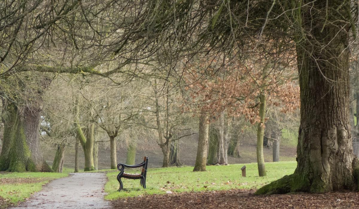 Town Park funding welcomed by Templemore Community Development ...