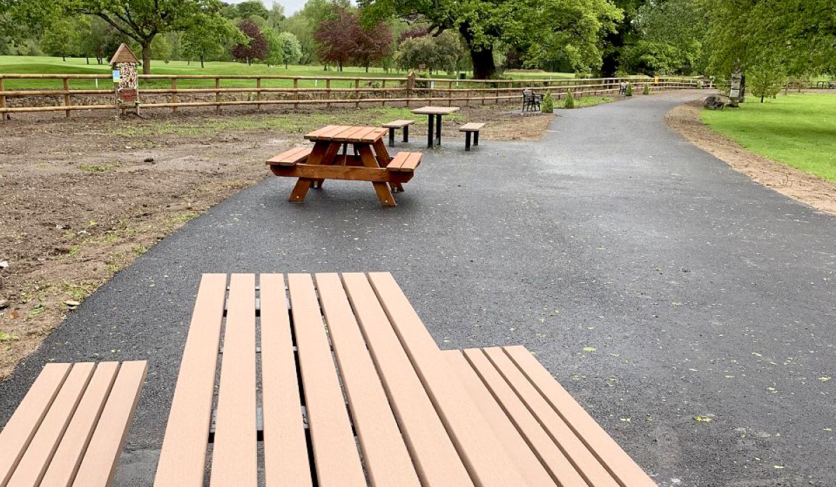 Great work continues apace as Cahir get ready for Tidy Town competition ...