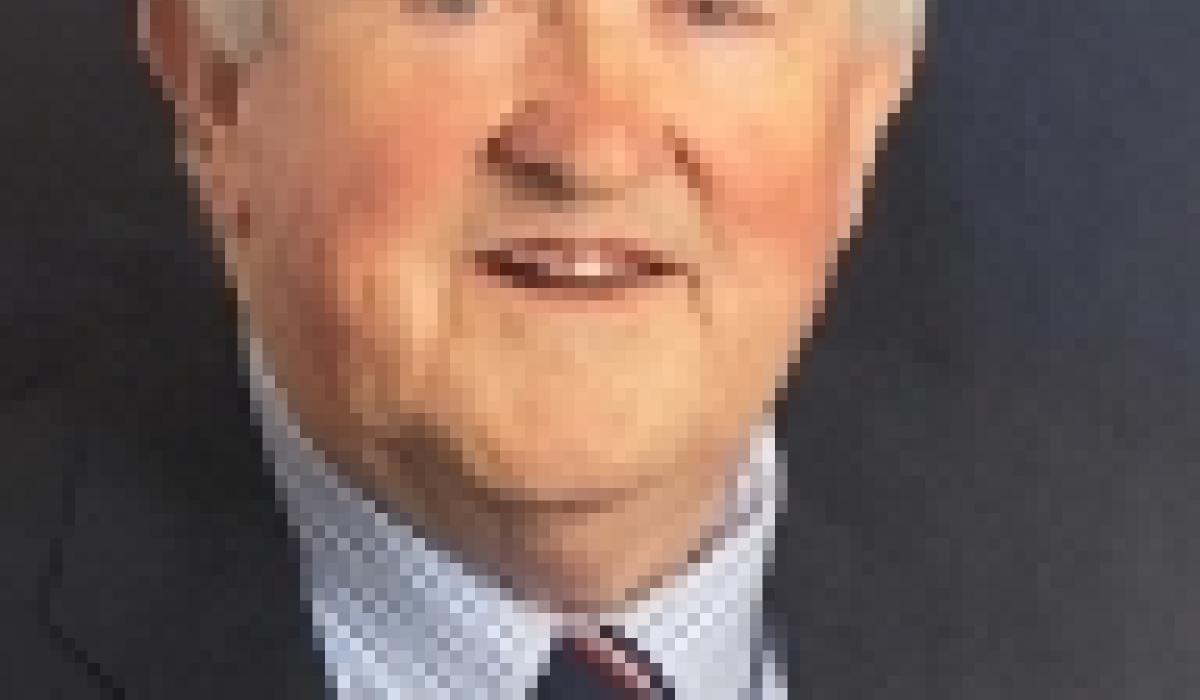 Roscrea hurling club bids farewell to Bertie Fitzpatrick - Tipperary Live