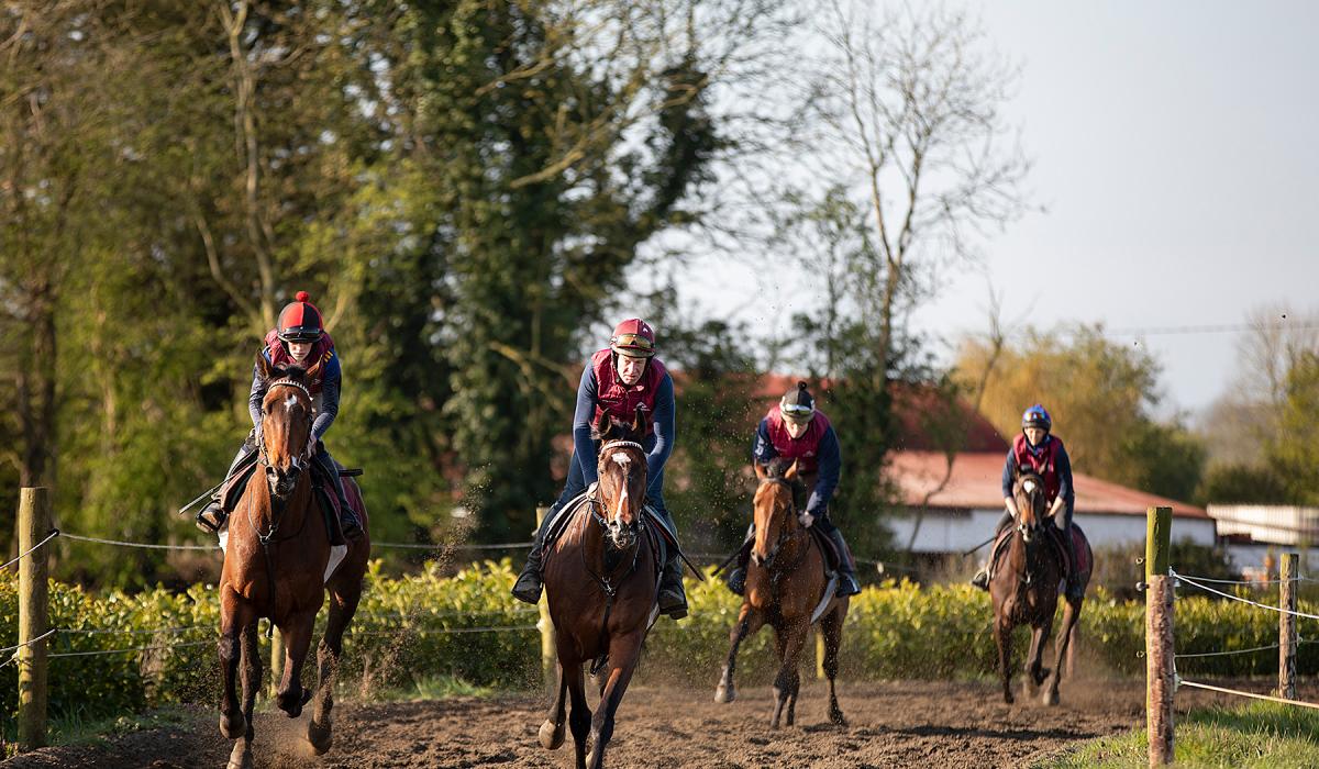 Minella Racing team is ready to go for the new season ahead - Photo 1 ...