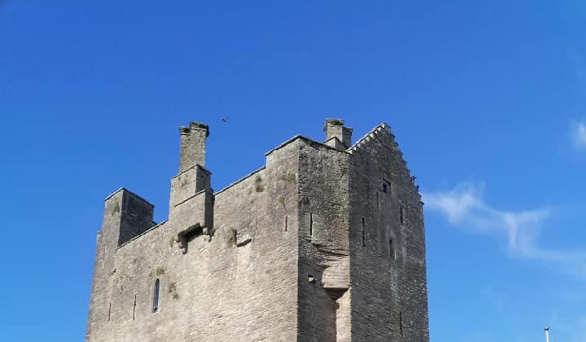 Roscrea Damer House Gallery - supporting the arts - Tipperary Live