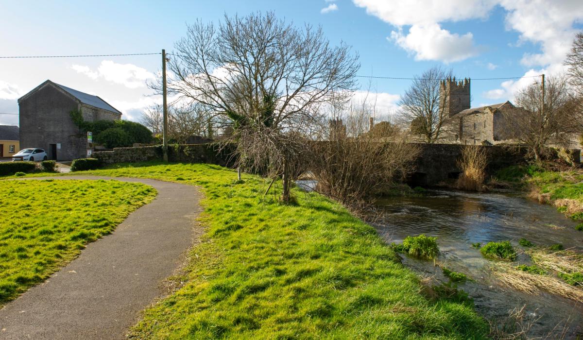 Medieval discovery in Fethard - Tipperary Live