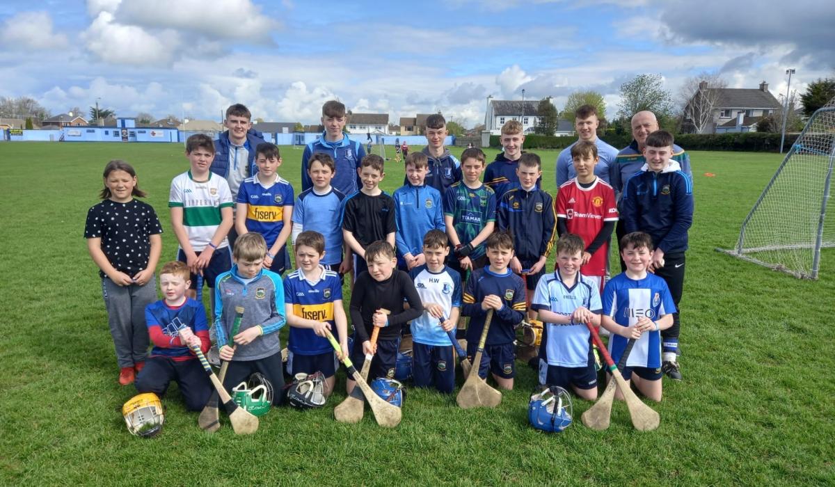 Nenagh Éire Óg counting down to opening of new hurling wall - Tipperary ...