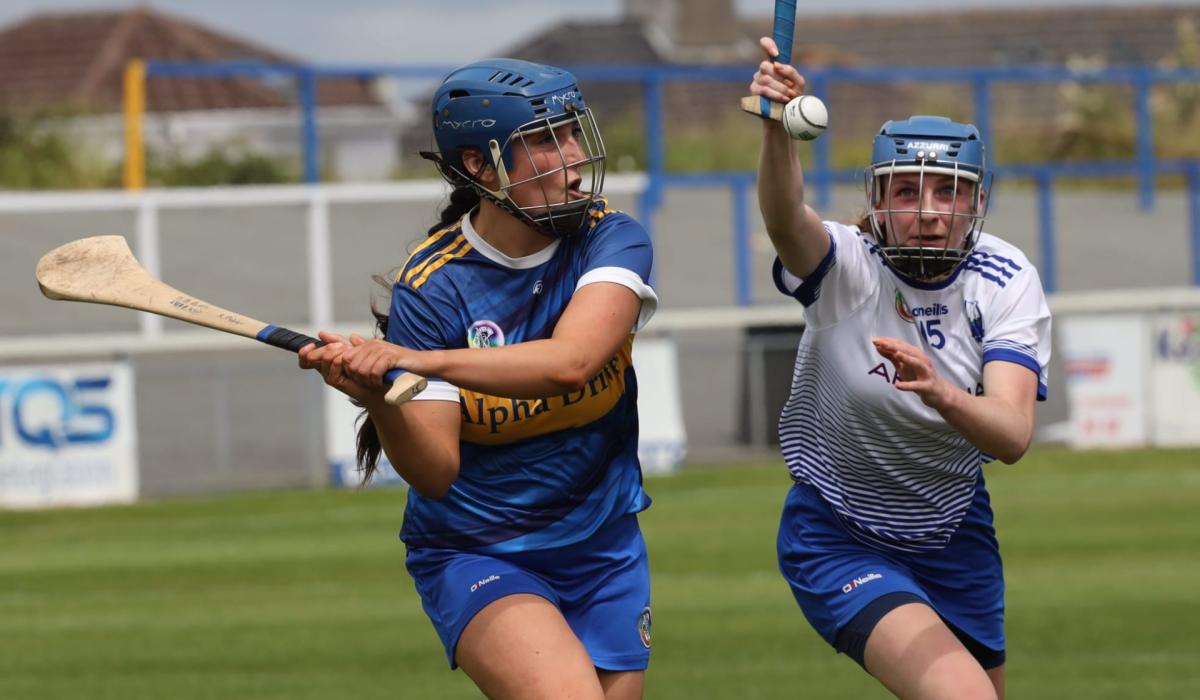 Tipperary juniors exit championship despite big win over Waterford ...