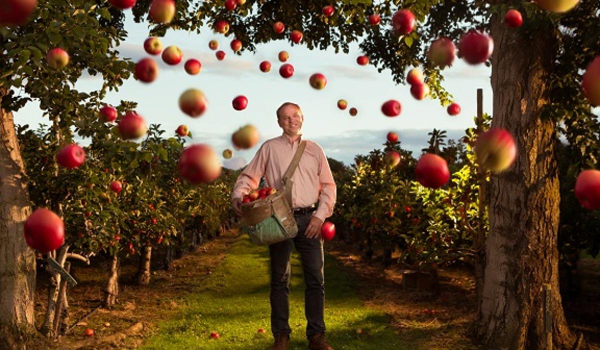 The Apple Farm blooms with caring for the environment at the core of ...