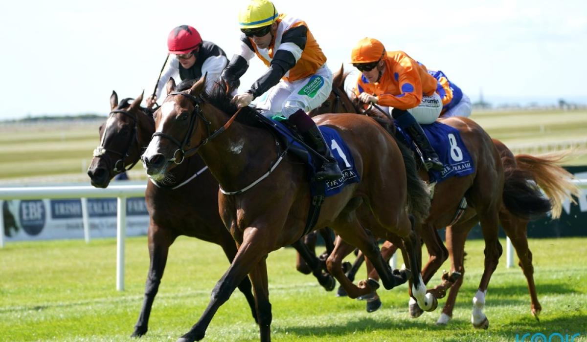 Tipperary trainer Fozzy Stack secures a massive win at Belmont Oaks ...