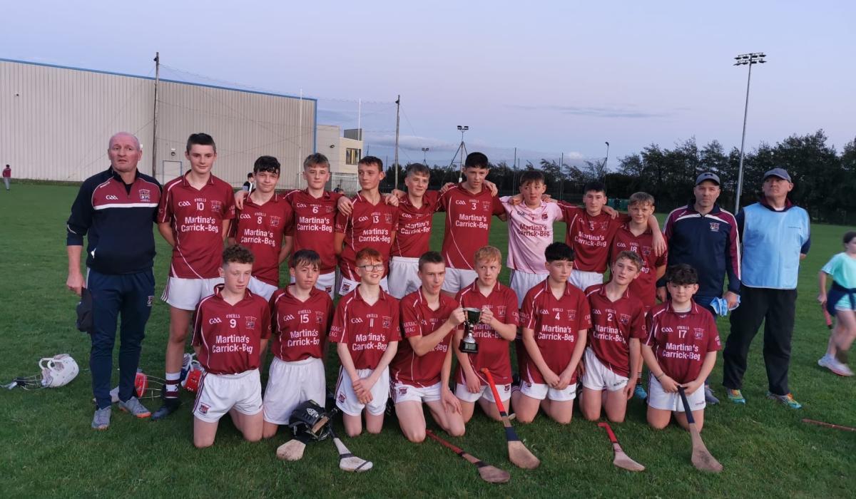St Molleran's GAA Club's U15 hurlers win county title - Tipperary Live