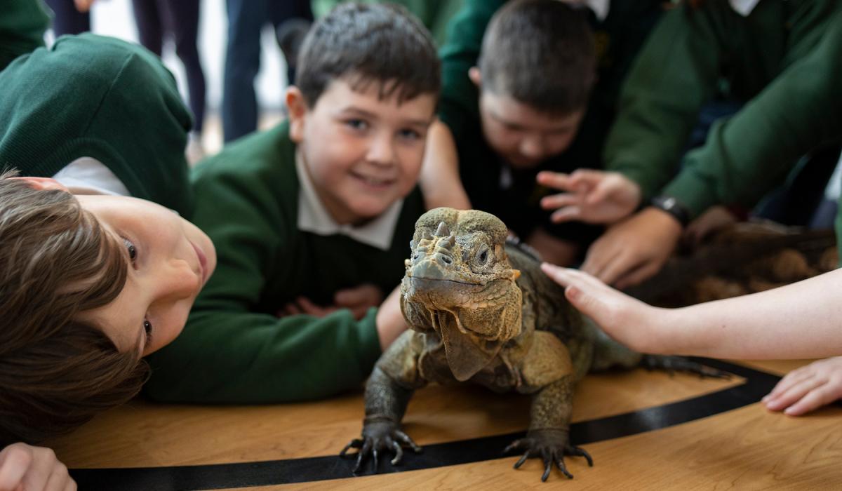 Tipperary students celebrate the fun of National Science Week - Photo 1 ...