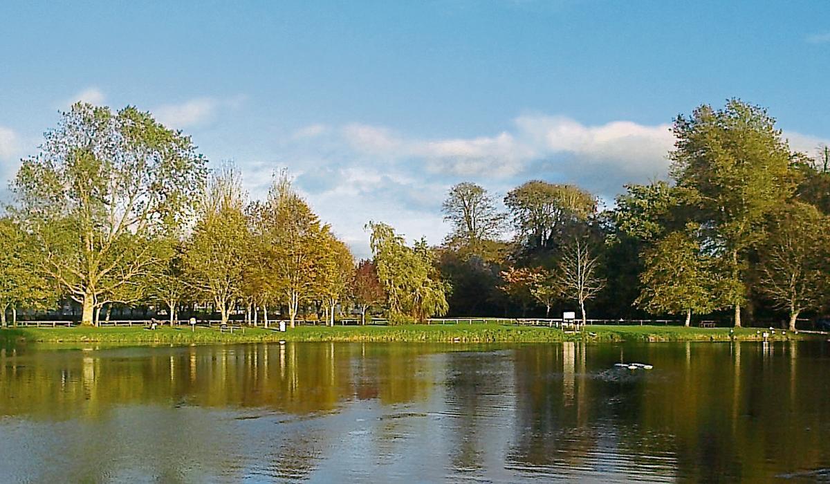 A new outdoor gym has been installed at this Tipperary park - Tipperary ...
