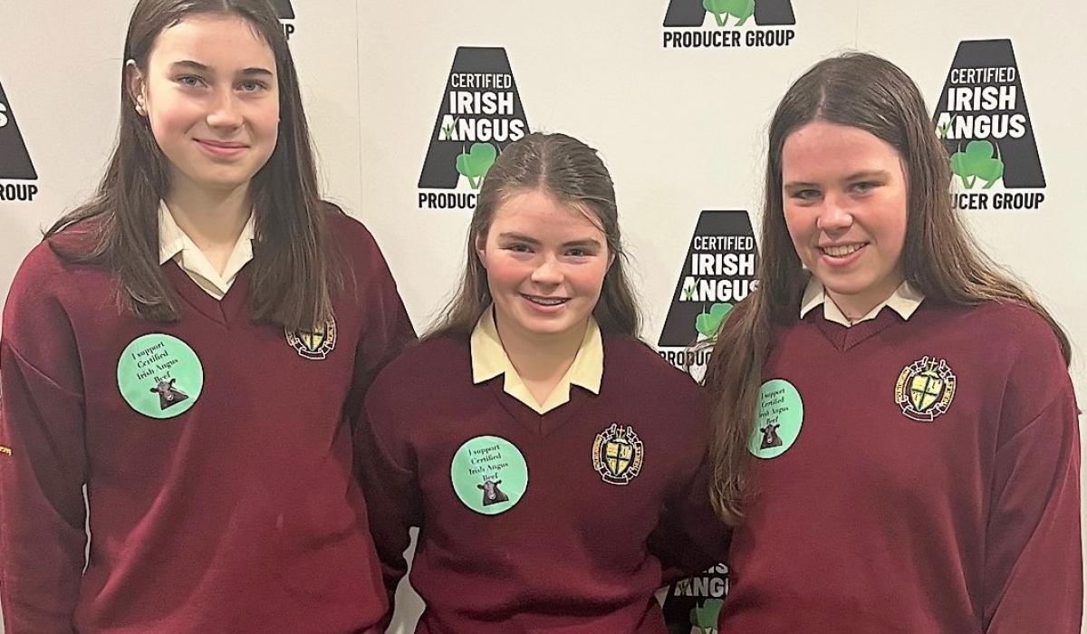 These Thurles students are through to the next stage of the Angus Irish ...