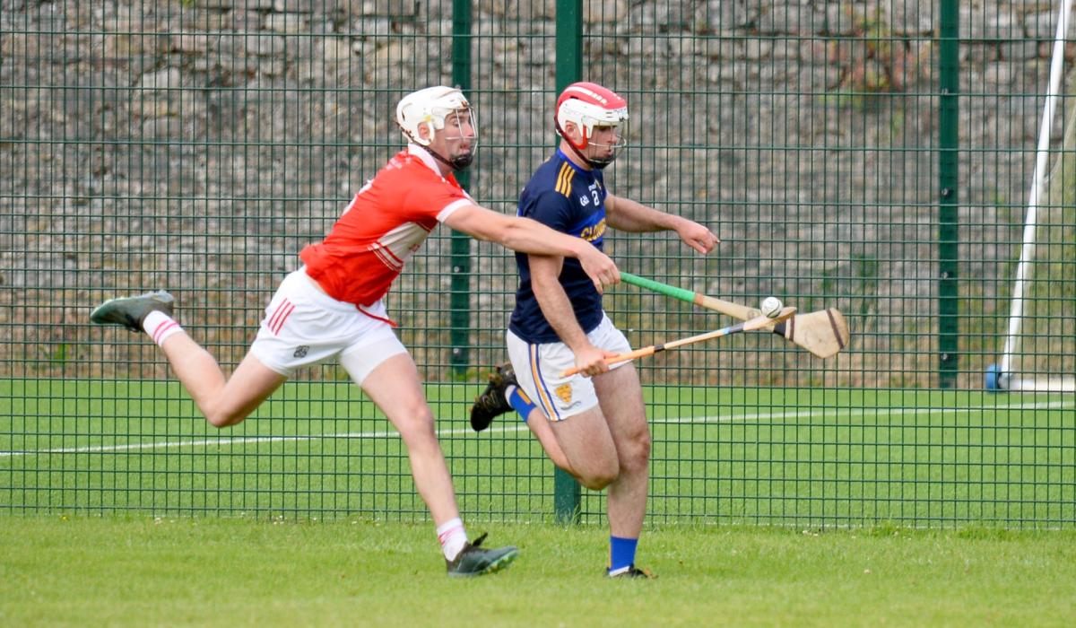 Kilsheelan/Kilcash win back-to-back South Tipperary Intermediate ...