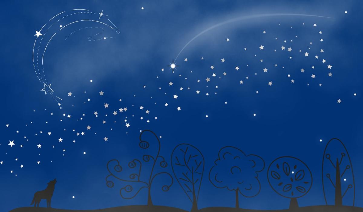 Shooting Star display will be spectacular over Tipperary skies tonight ...