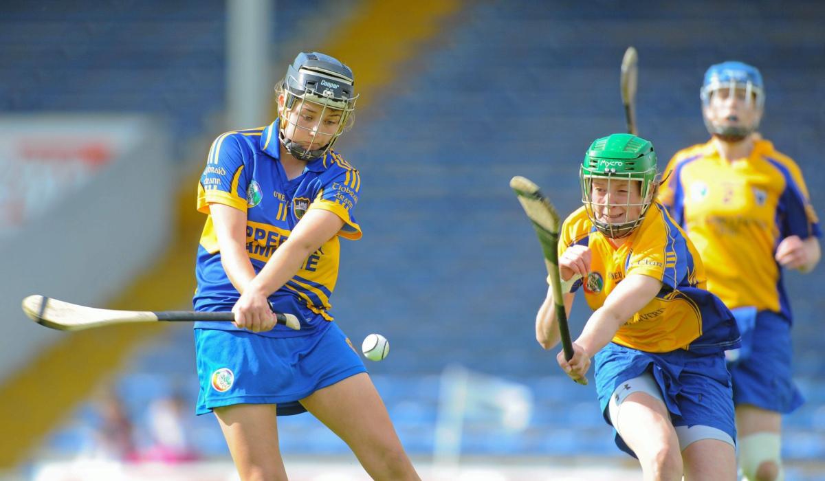 West Tipperary camogie derby is won by Kickhams as Ereena Fryday ...