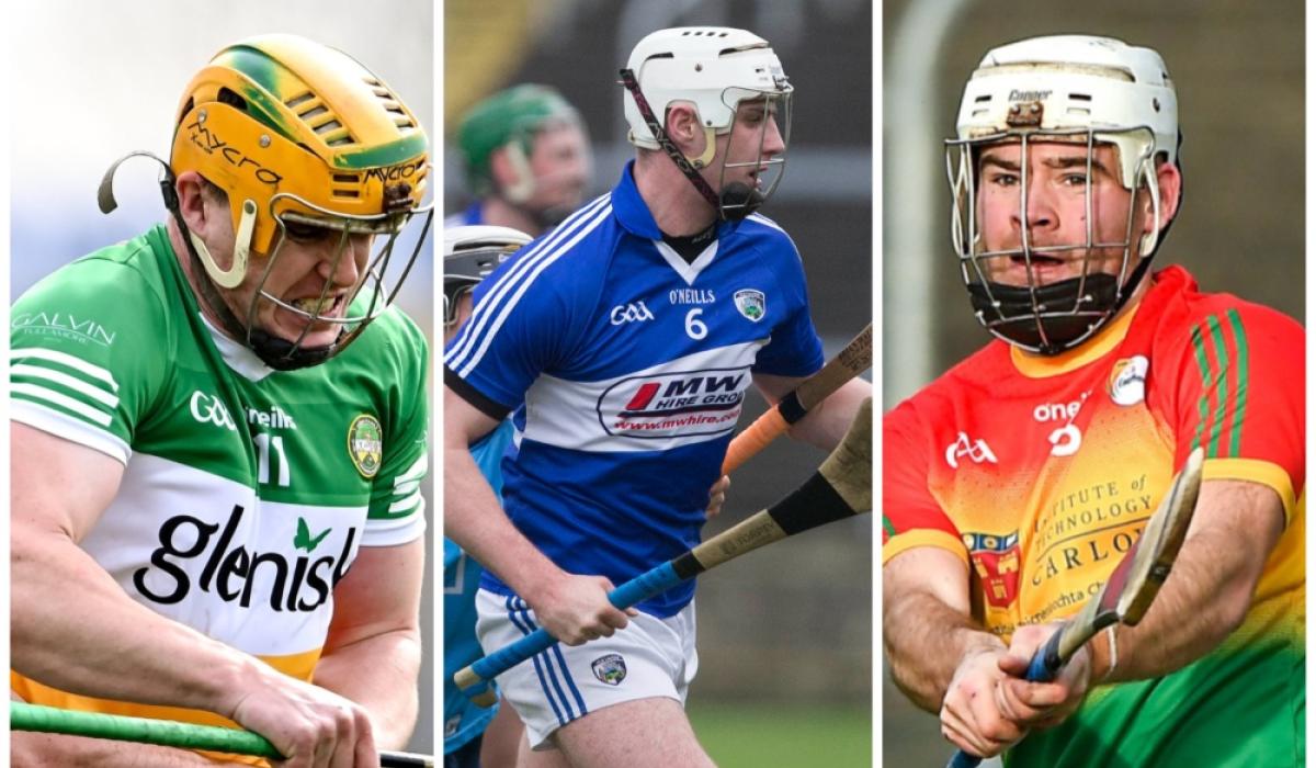 14 counties represented in Irish Hurling/Shinty squad for upcoming ...