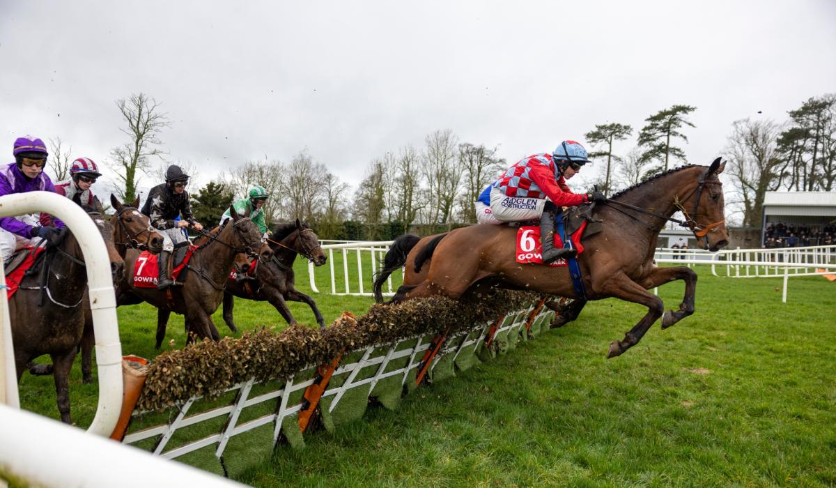 Weekly Racing News - Tipperary winners to the fore this week with a 100 ...