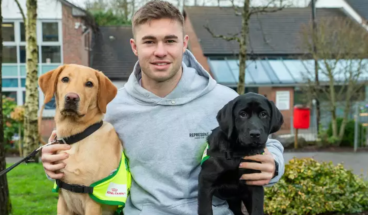 Irish Guide Dogs for the Blind are looking for puppy raisers ...