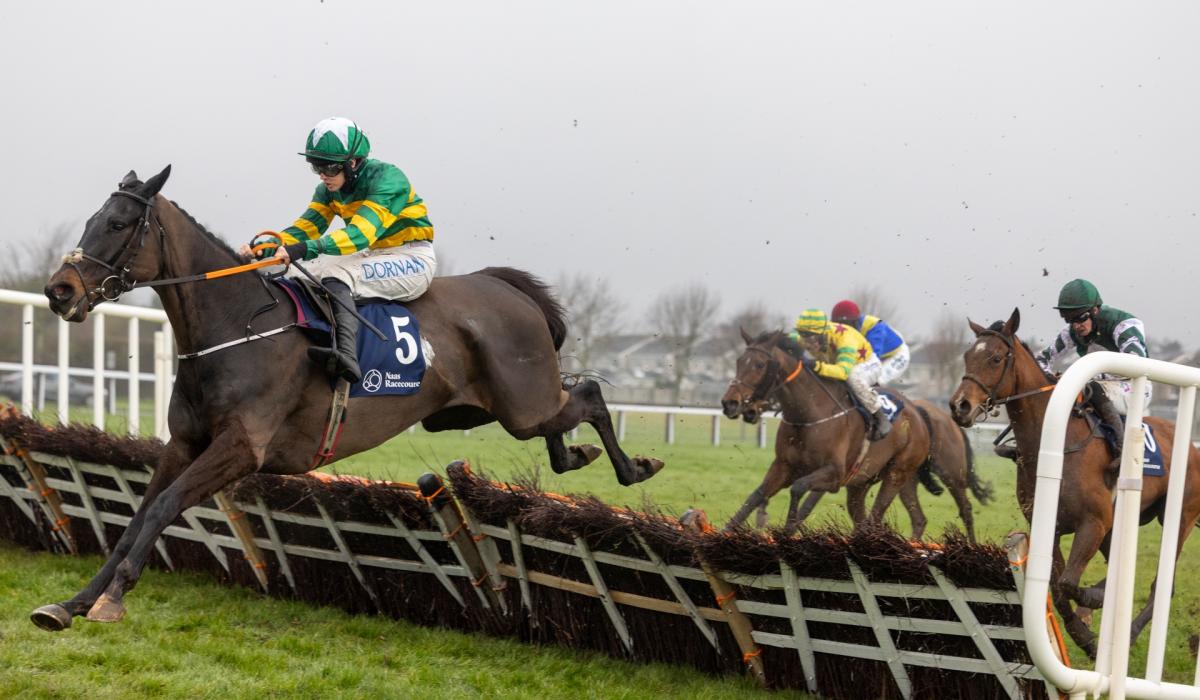 Blackmore wins again in another superb week of racing for Tipperary ...