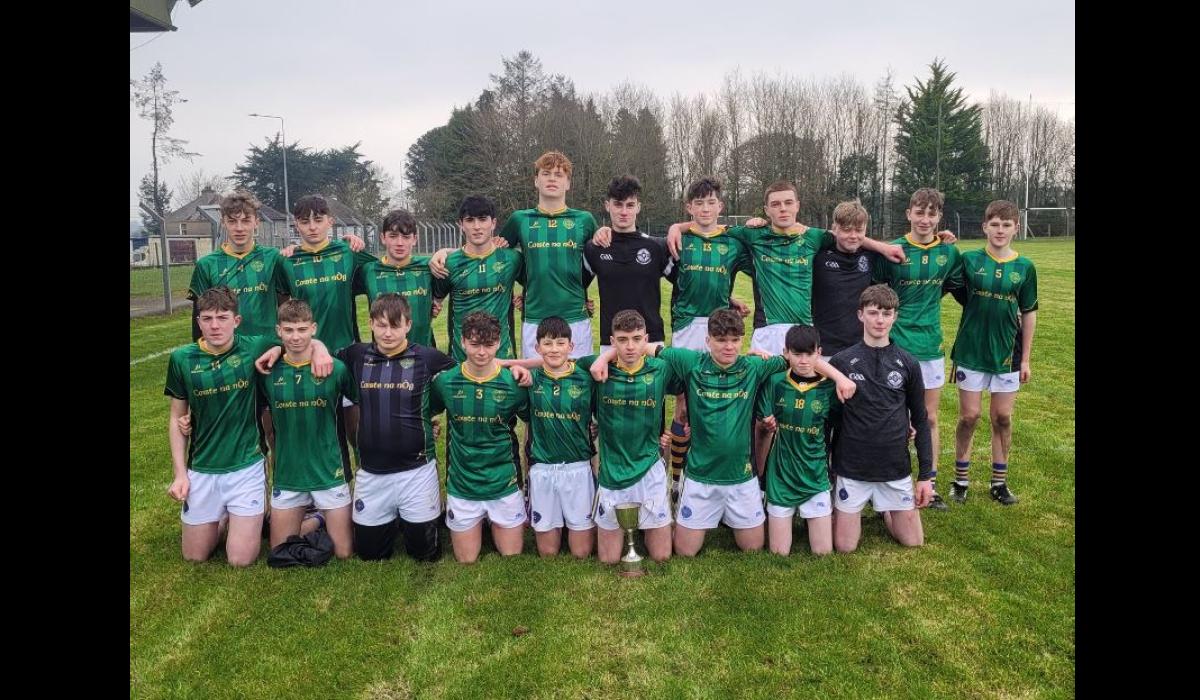 Brilliant quality on show as North Tipp defeat Mid Tipp in Roger Ryan ...