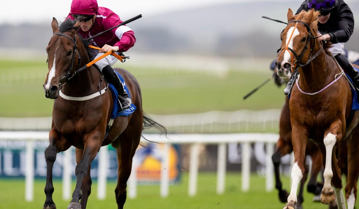 Tipperary racing winners galore over the last seven days - Tipperary Live