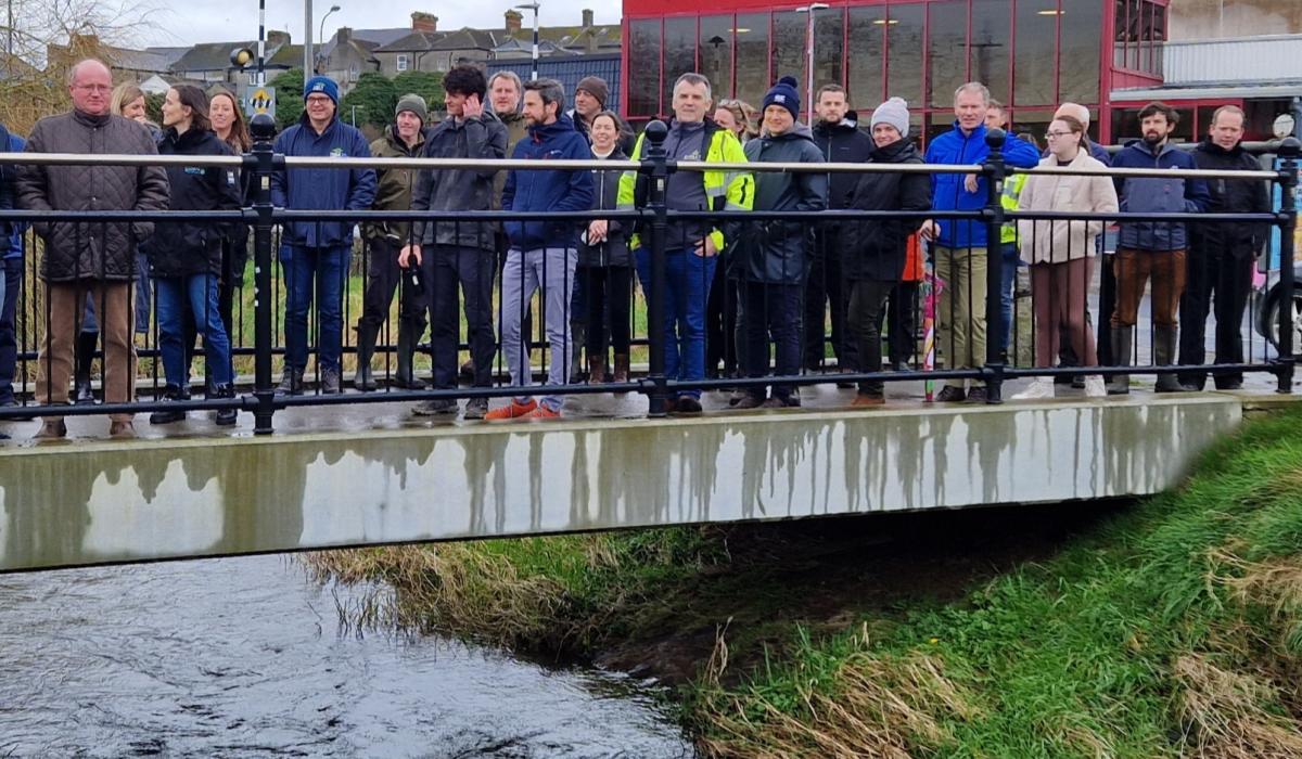 Water quality advocates visit River Ara walk in Tipperary Town ...