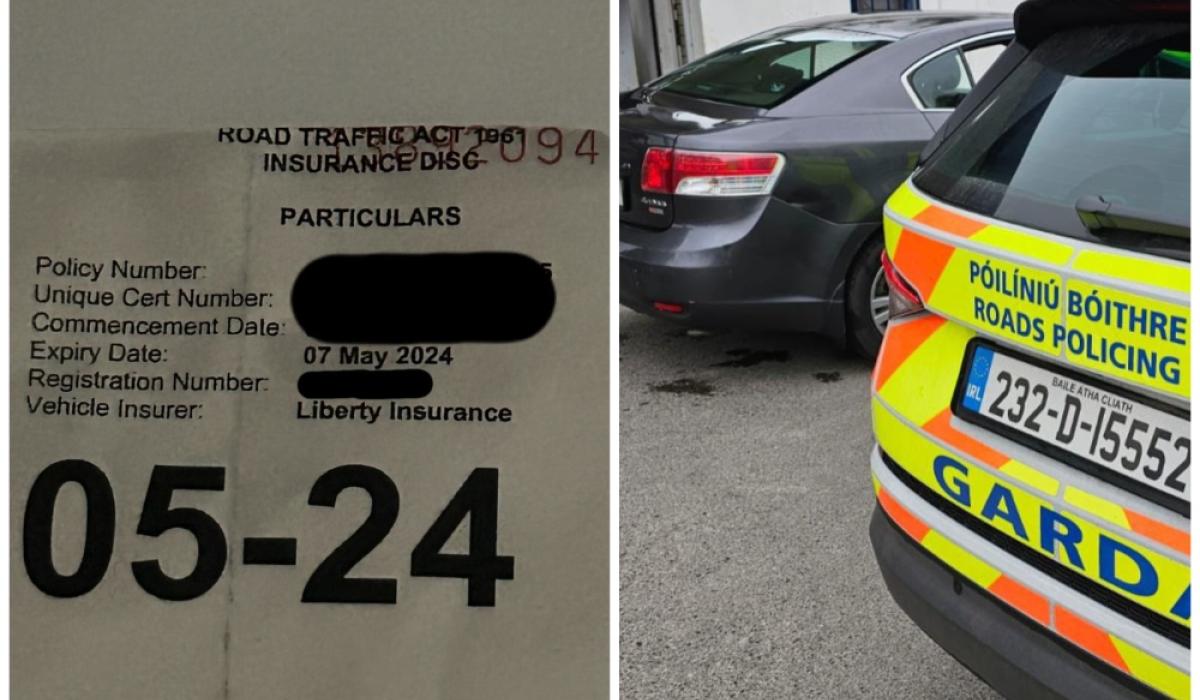 Fake insurance disc draws high praise from gardai as owner receives top ...