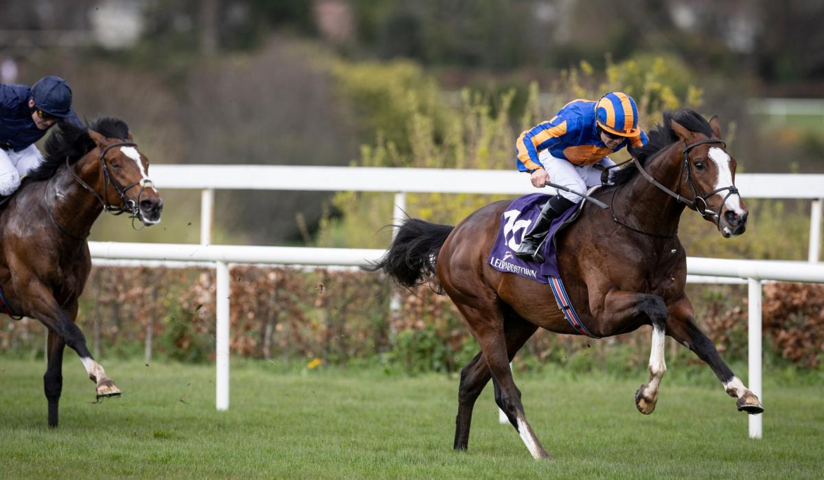 Huge amount of racing winners from across Tipperary this week ...