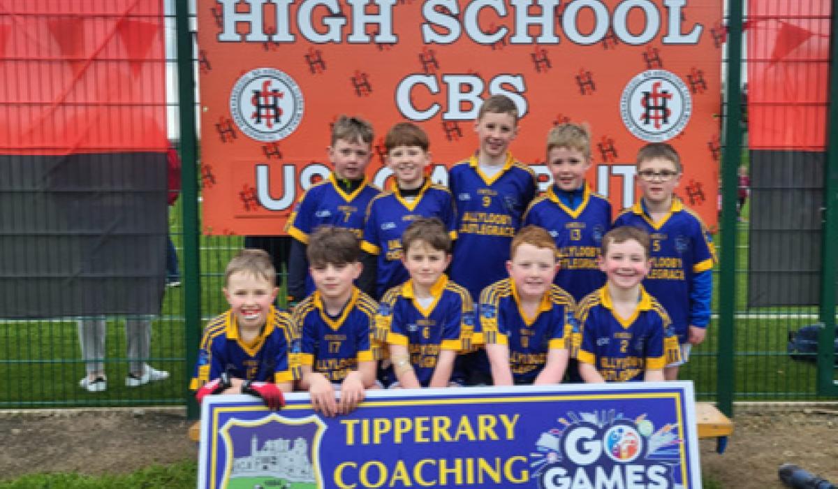 South Tipperary GAA Club to open its new astro turf pitch on Sunday ...