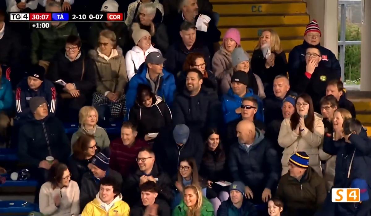 COLUMN: Midges eating people alive at Semple Stadium in Tipperary ...