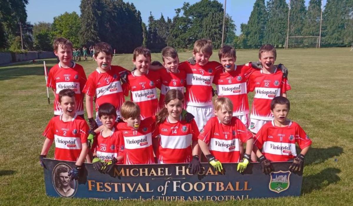 Michael Hogan ‘Festival of Football’ in Tipperary promises to be a ...