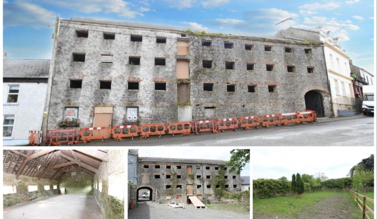 PICTURES: 'Opportunity to reimagine' as huge Tipperary mill house goes ...