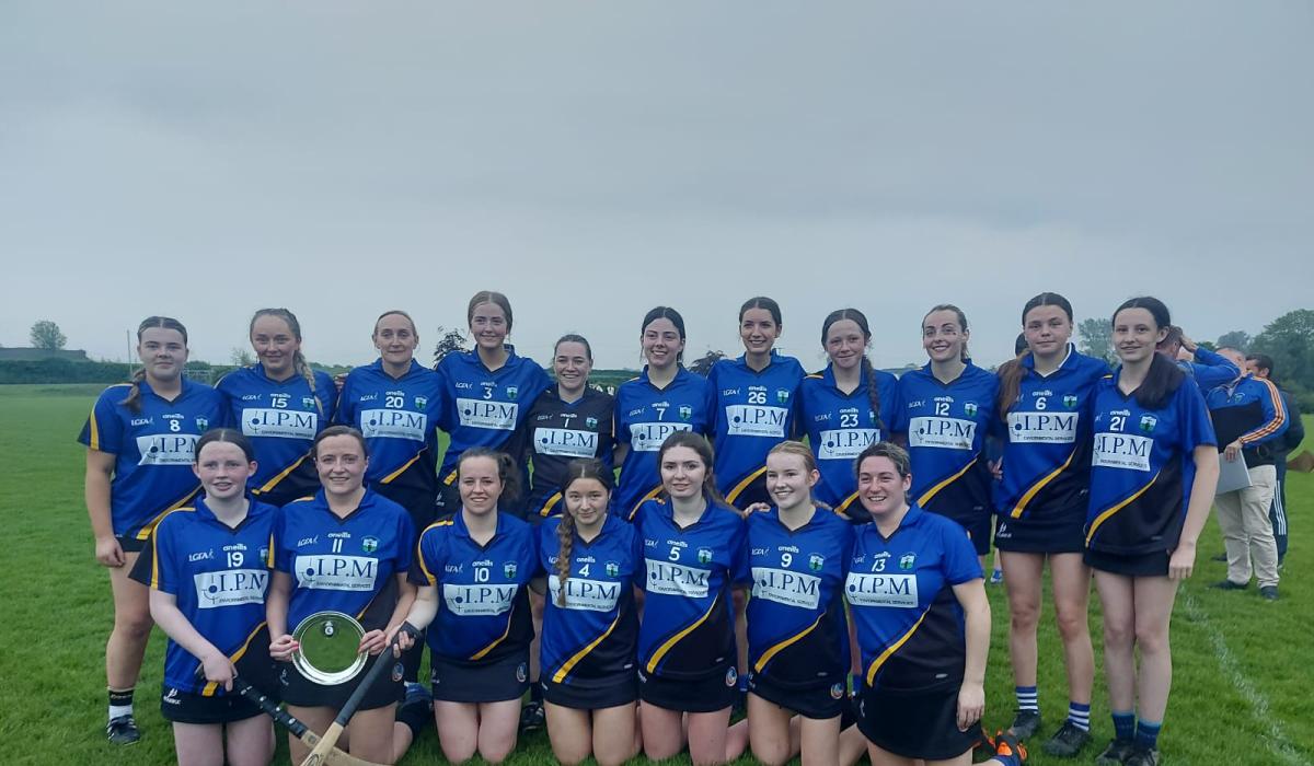 CAMOGIE: Slieve Felim Raparees crowned Tipperary county champions ...