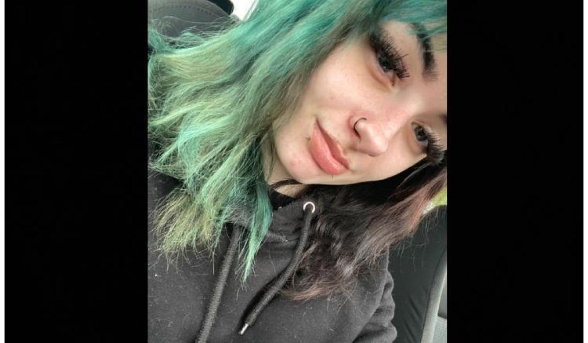 Gardaí stand down search for missing 15-year-old girl - Tipperary Live