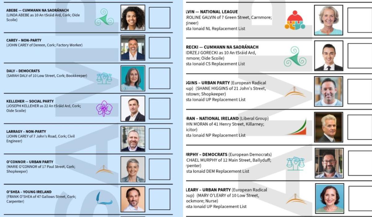 EXPLAINER: How to vote in Tipperary local Elections and not spoil it ...