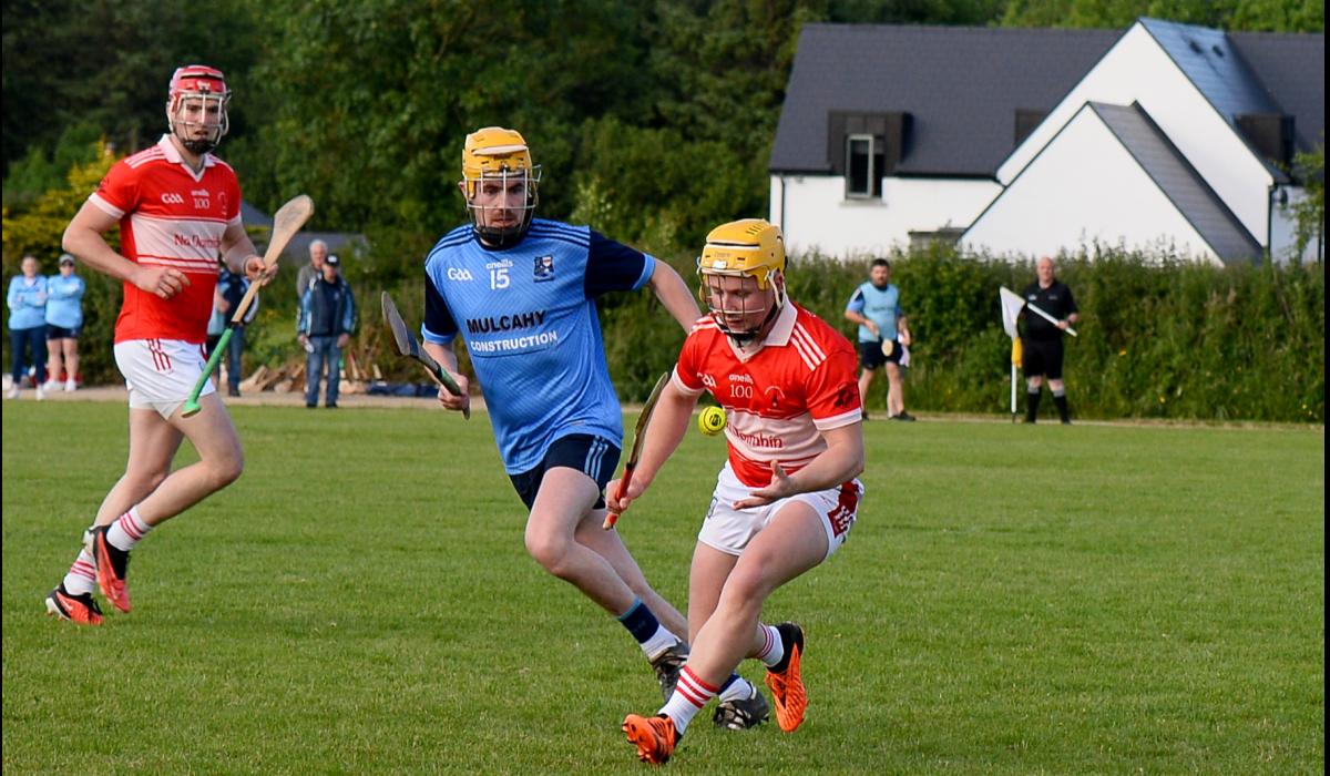 Moyle Rovers claim one-point win in Tipperary Division 4 hurling final ...