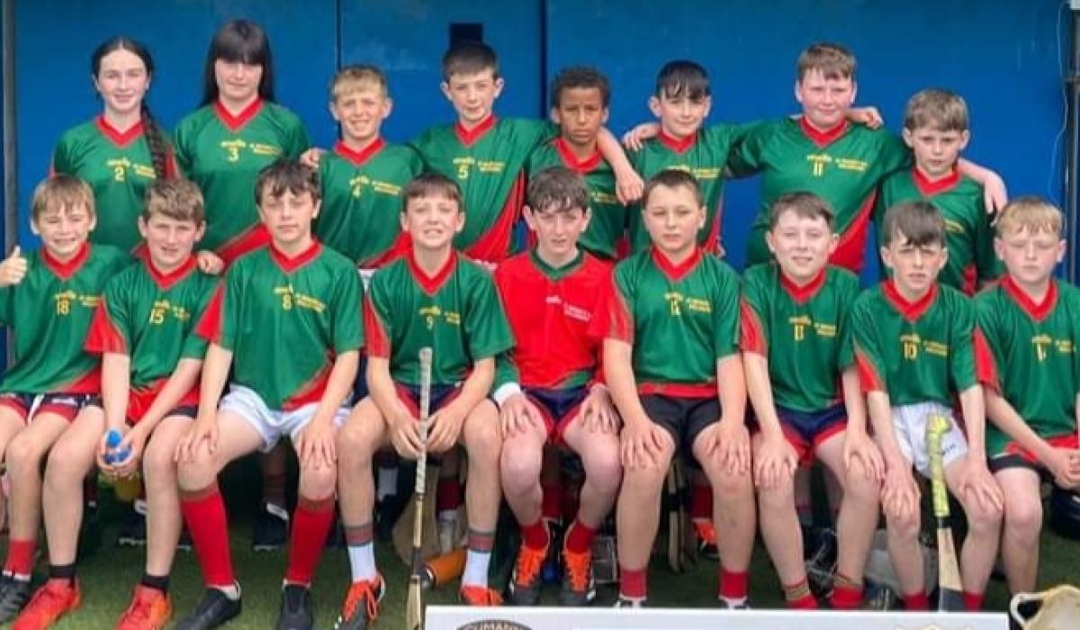 Field of Legends - County hurling title for south Tipperary hurling ...