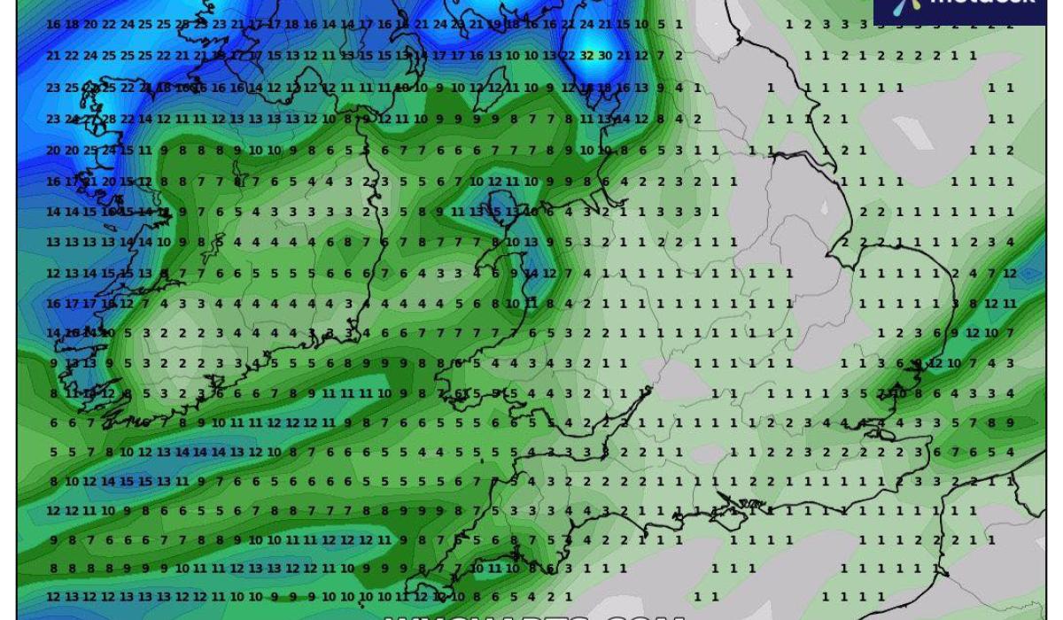 ALERT: Irish weather forecast for Electric Picnic 2024 is in ...