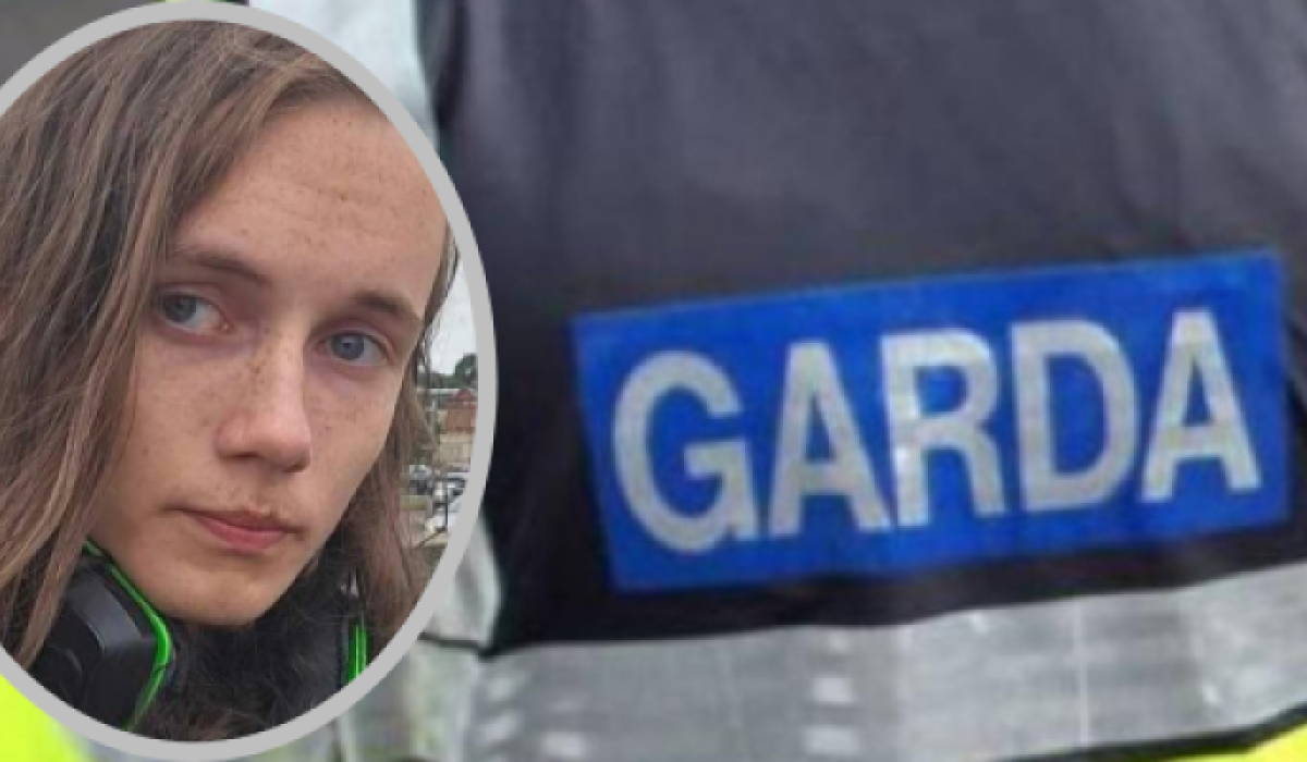 Search for teenager missing two weeks stood down - Tipperary Live