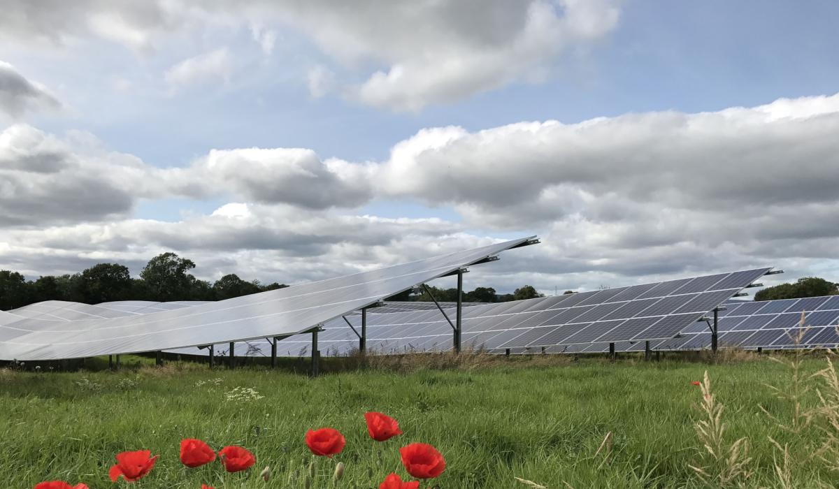 Developer aims to have €50m Tipperary solar farm project operational by ...