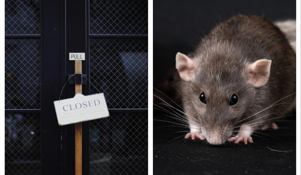 BREAKING: Two Tipperary food businesses shut down over 'rodent ...