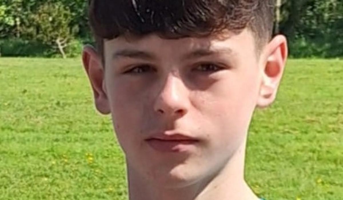 Gardaí issue urgent appeal for missing teenage boy from Westmeath - Tipperary Live
